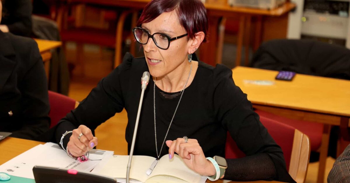 Nova Gorica, anche il GECT GO al 20° anniversario dell'ingresso della ...